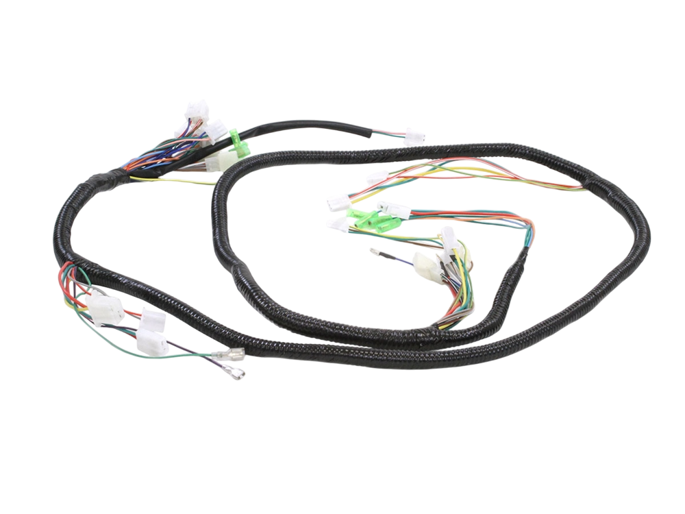 Wiring Harness for Rome – Electric Parts Depot