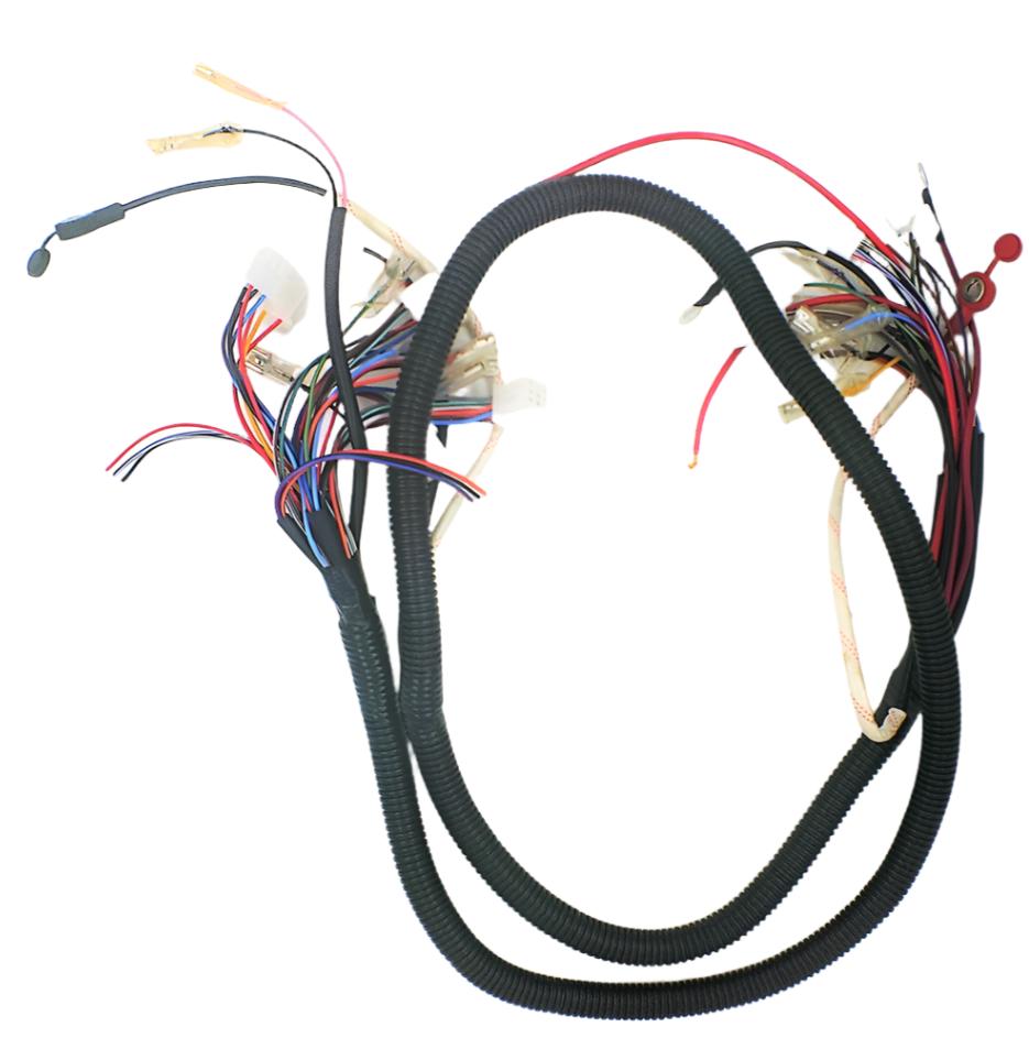 Wiring Harness for Alien – Electric Parts Depot