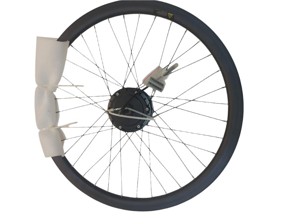 Rear Wheel Motor Assembly For EC1 Advanced (Motor and Rim Only ...