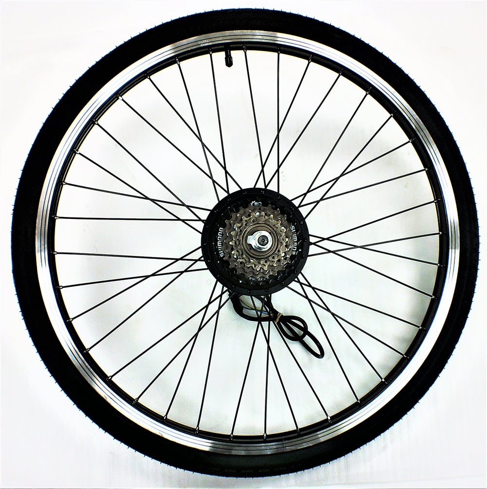 Rear Wheel Motor Assembly For Milan – Electric Parts Depot