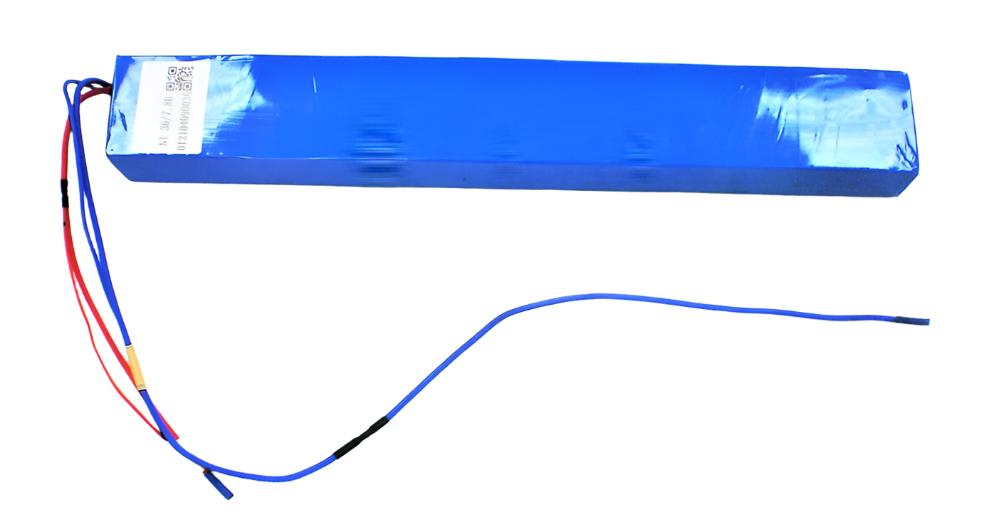 Lithium Battery 36V8AH for Tofino – Electric Parts Depot