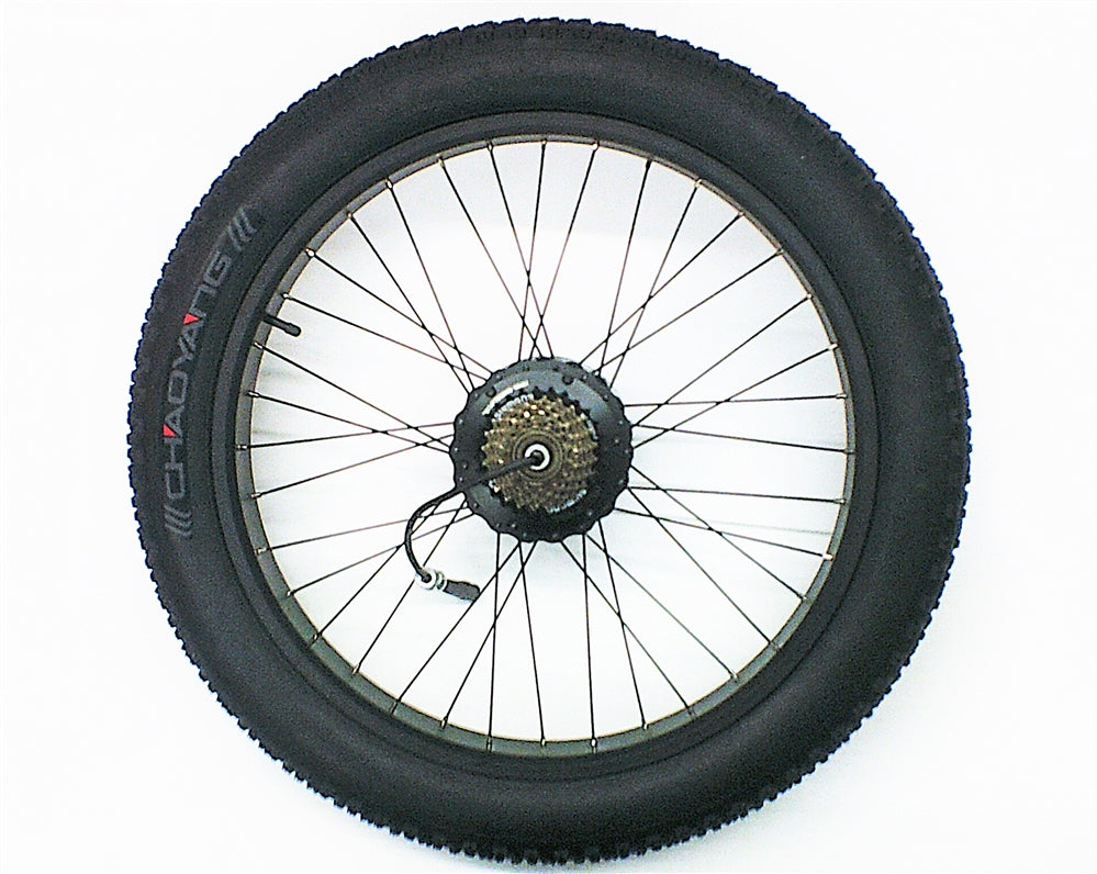 Motor Wheel assembly for Wildgoose – Electric Parts Depot